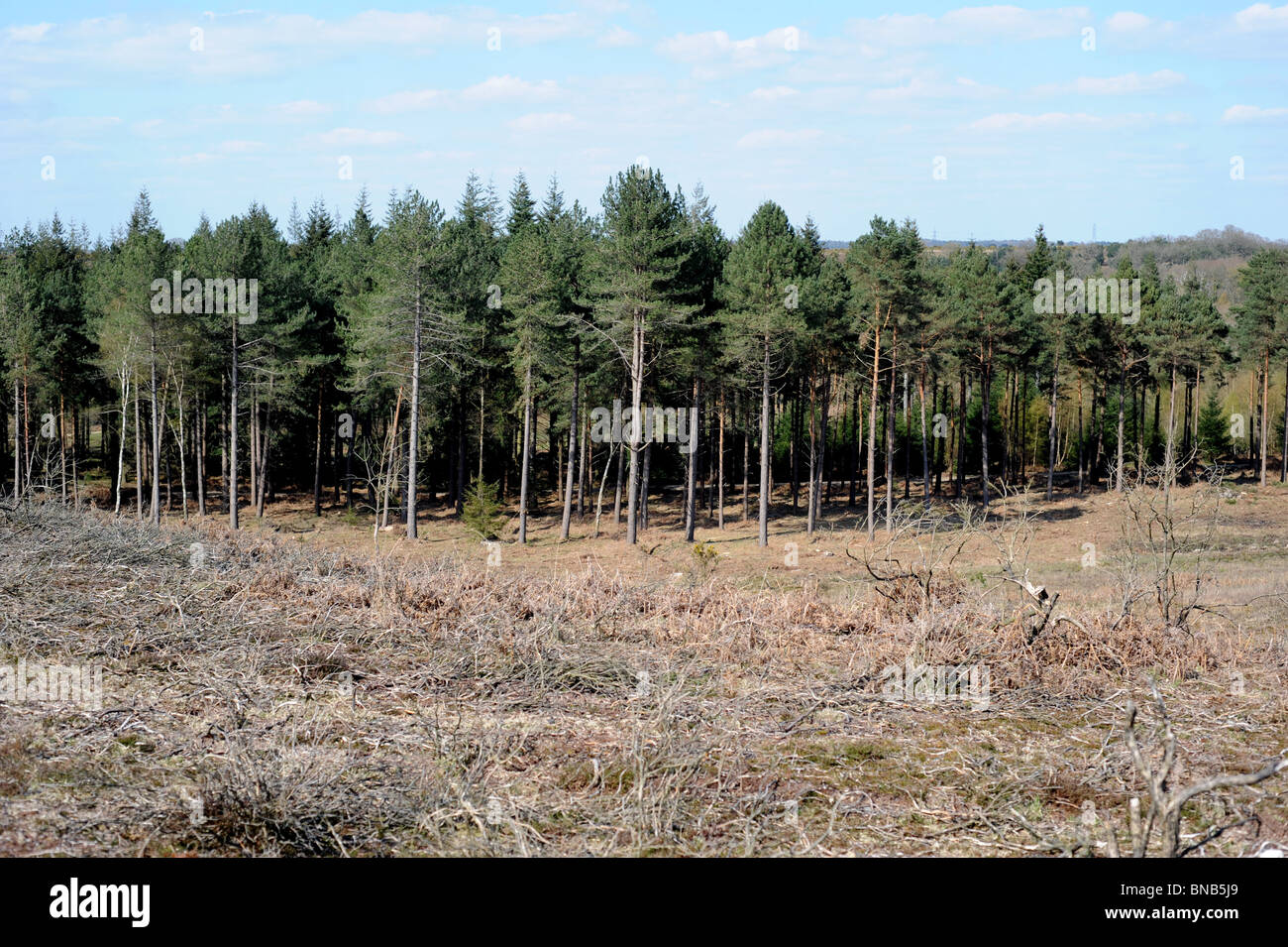 New enclosure hi-res stock photography and images - Alamy