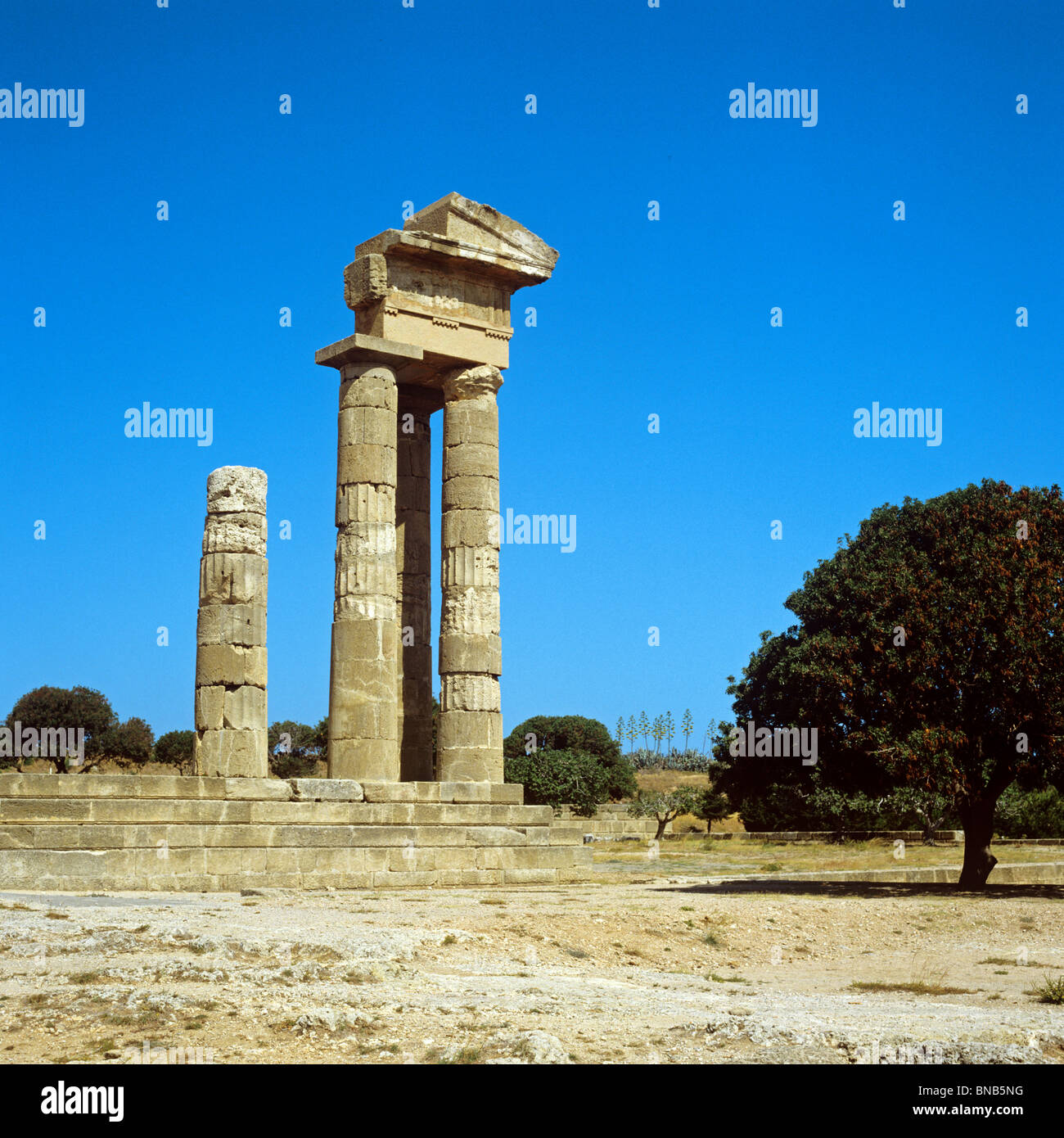 Historic remains of the Temple of Apollo on the Acropolis of Rhodes ...