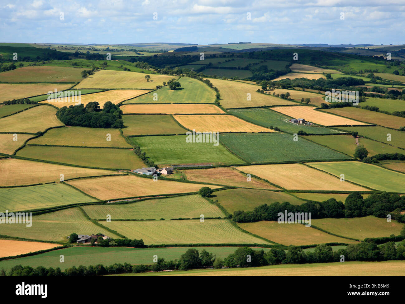 Field Patchwork, Llanspiddyd, Brecon Beacons, Wales, UK Stock Photo - Alamy