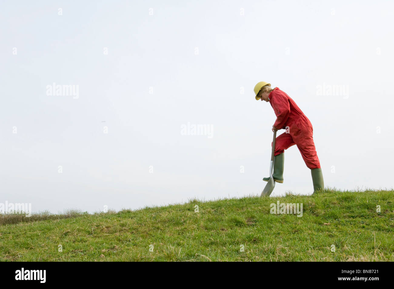 Female surveying hi-res stock photography and images - Alamy