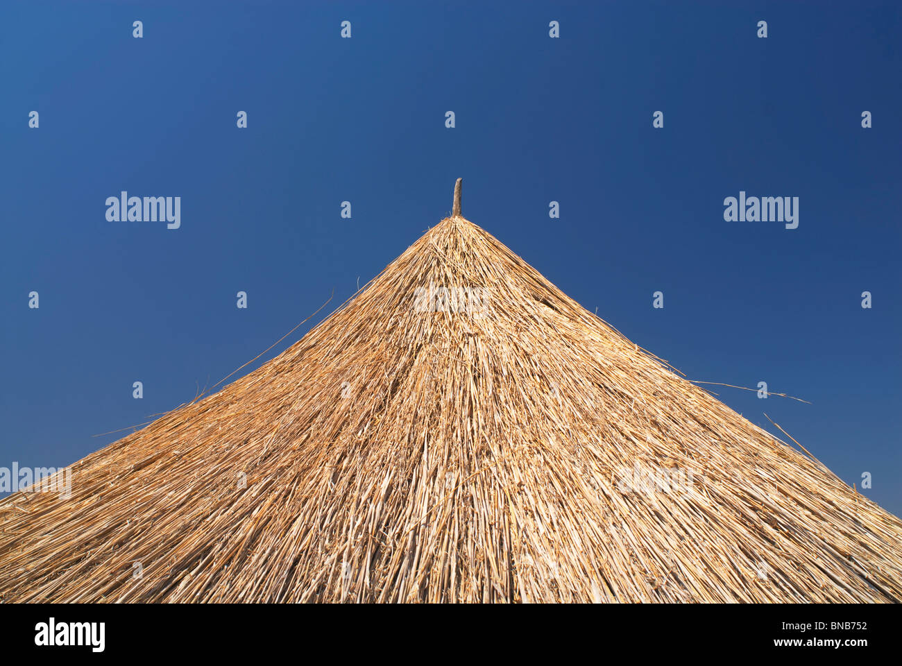 Grass Thatch Roof High Resolution Stock Photography and Images - Alamy