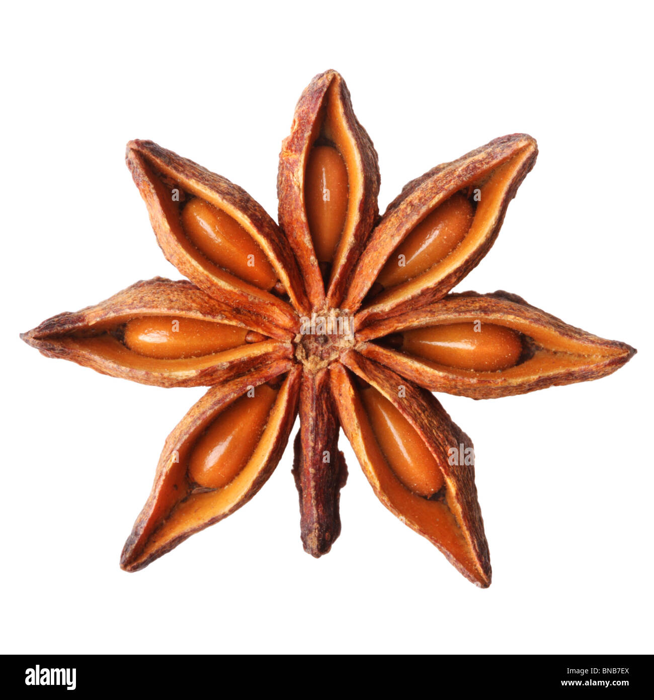 Star anise isolated on white background Stock Photo - Alamy