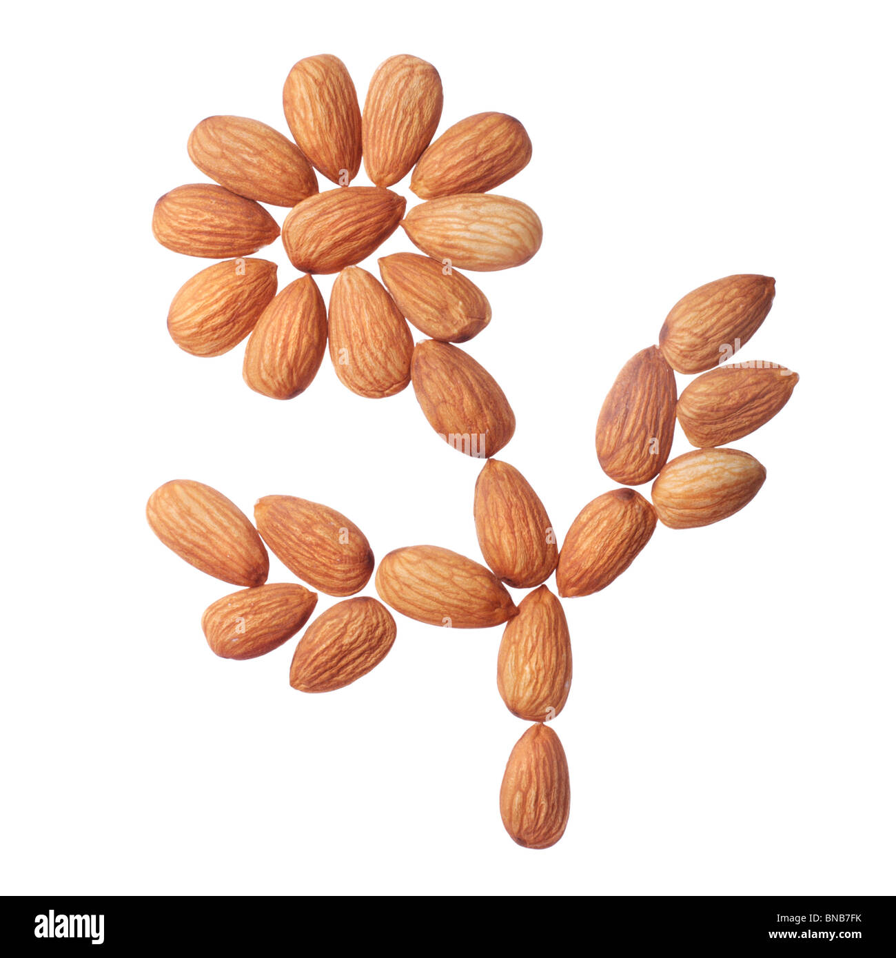 Shape and form in nature Cut Out Stock Images & Pictures - Alamy