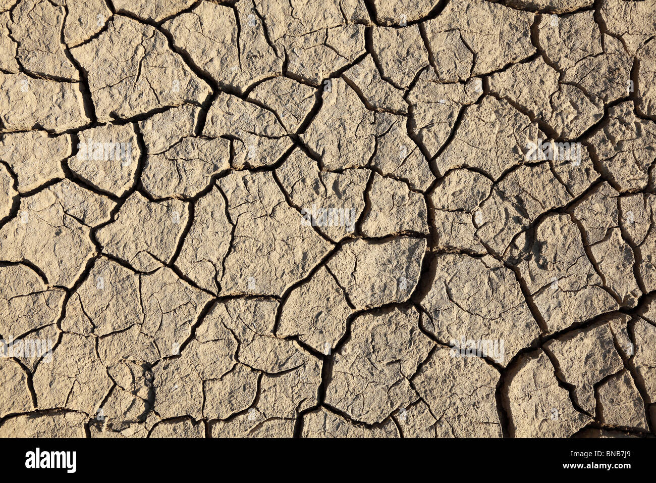 Dry cracked soil Stock Photo - Alamy