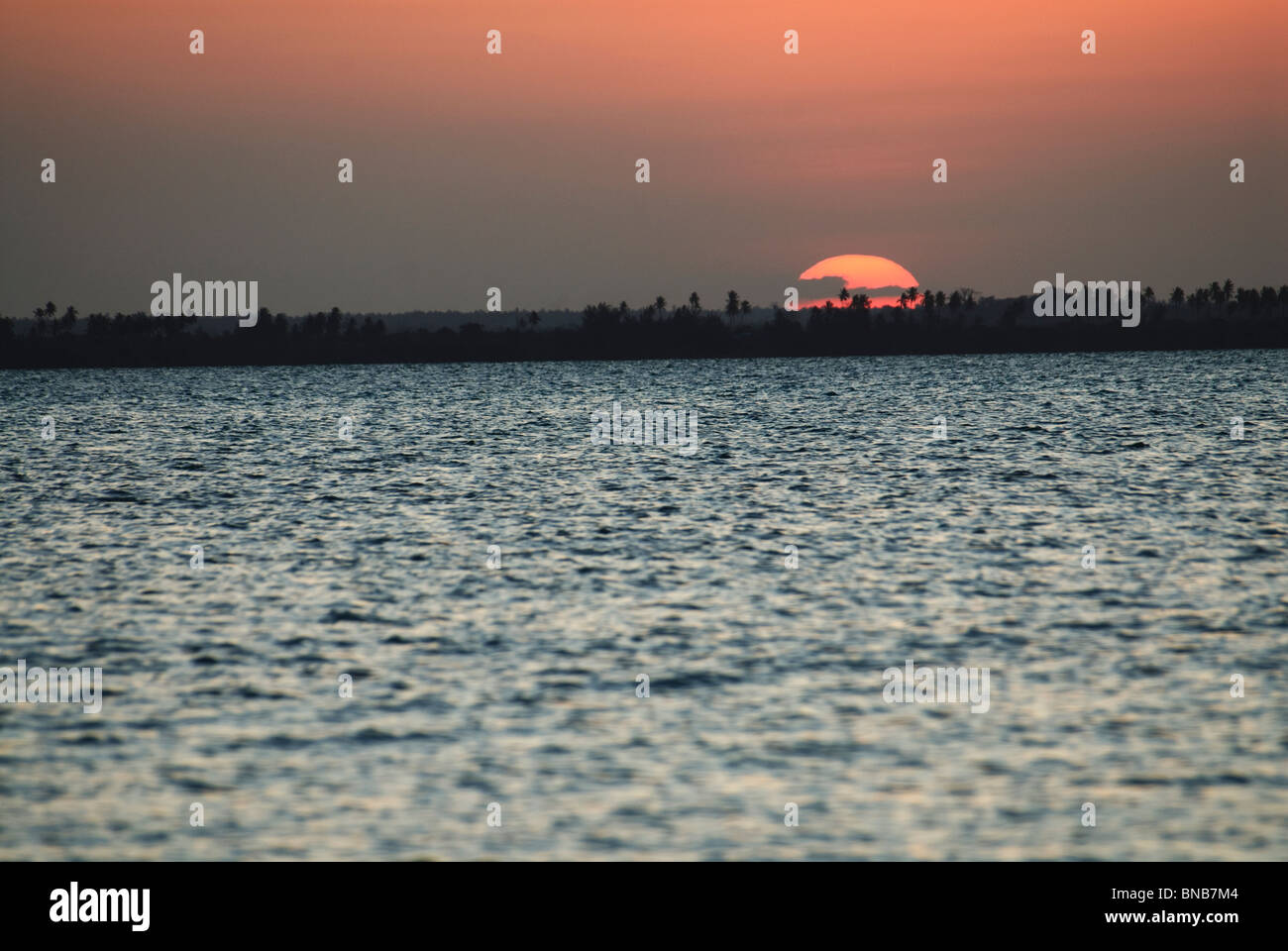 Sunset over land with coconut trees on the horizon and water in the ...