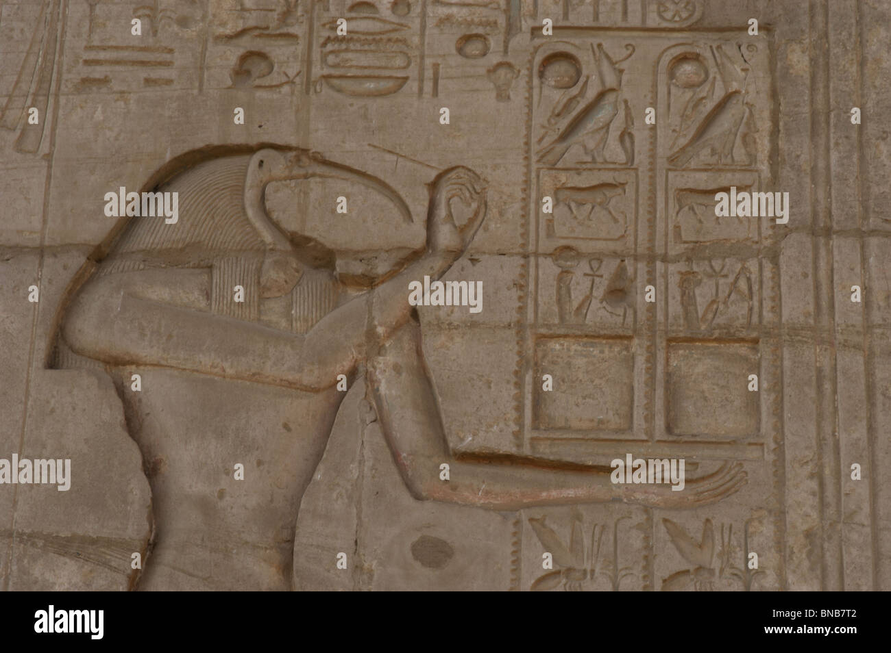 Relief depicting the god Thoth as ibis-headed. Ramesseum. Egypt Stock ...