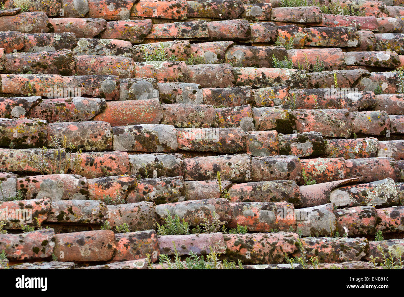 Pantile roofs hi-res stock photography and images - Alamy