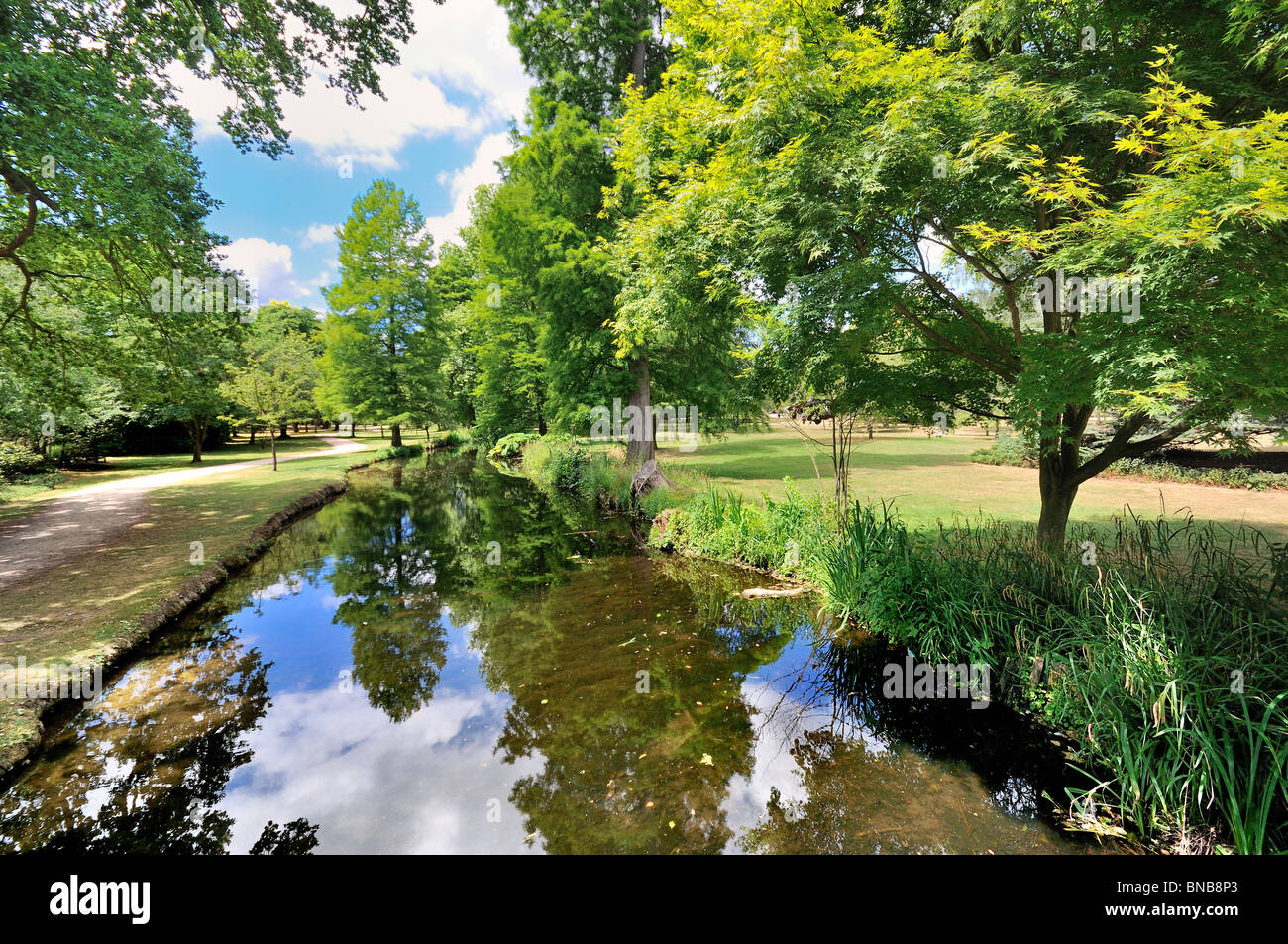 Parkland in summer with stream, Bushy Park London England UK Stock ...