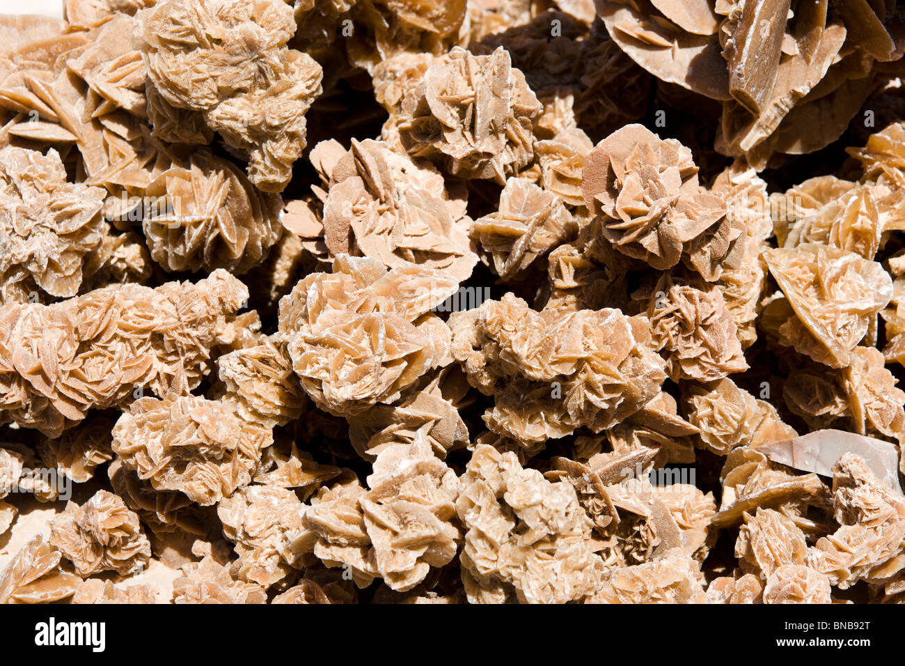 Desert Roses of petrified sand for sale in the market in Houmt Souk ...