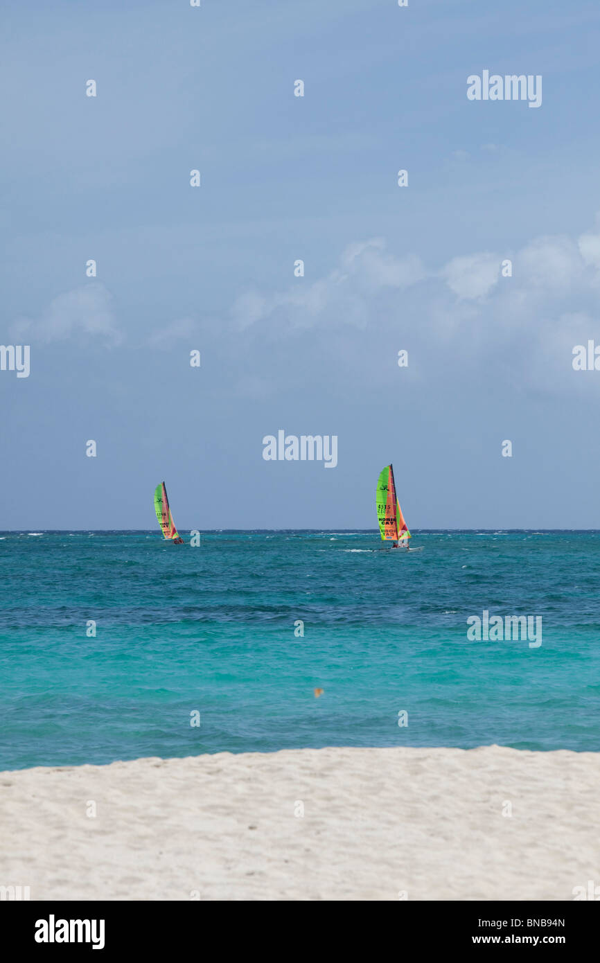 two hobie cats sailing on the caribean sea Stock Photo - Alamy