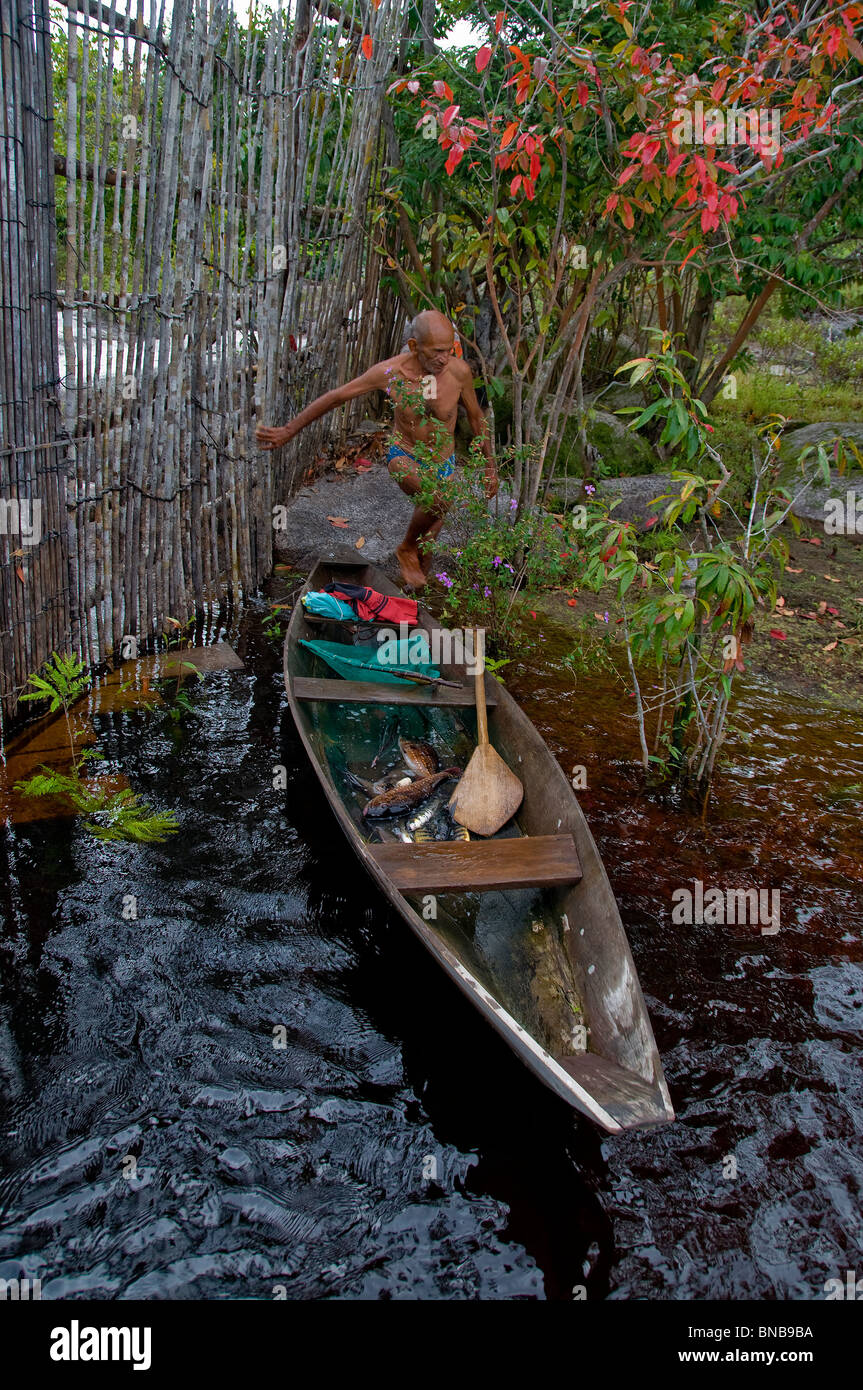 An Amazon River native (caboclo) checks his fish trap for tucunare ...