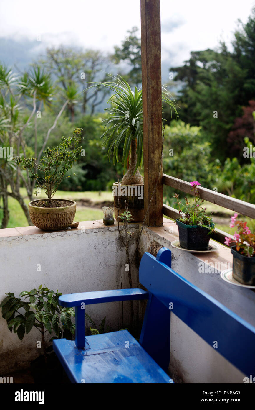 Plants on a colonial-style veranda at a house in Guatemala Stock Photo ...