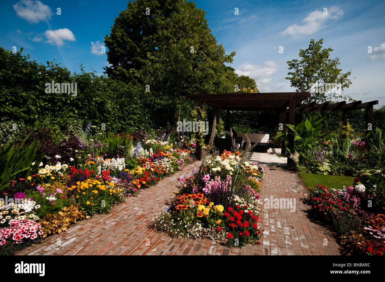 Birchfield wood hi-res stock photography and images - Alamy