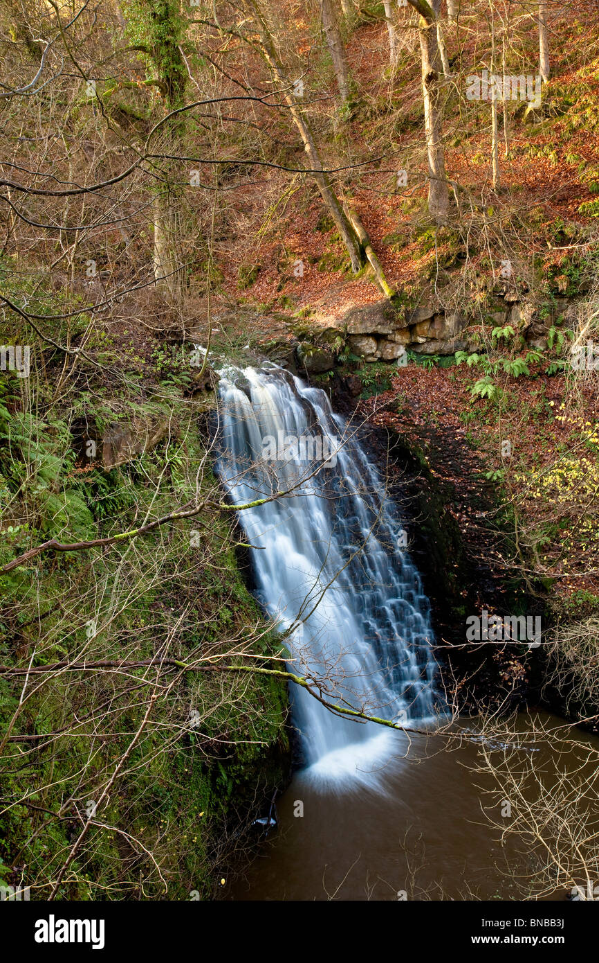 Falling Foss Waterfall in early winter, May Beck near Whitby, North ...