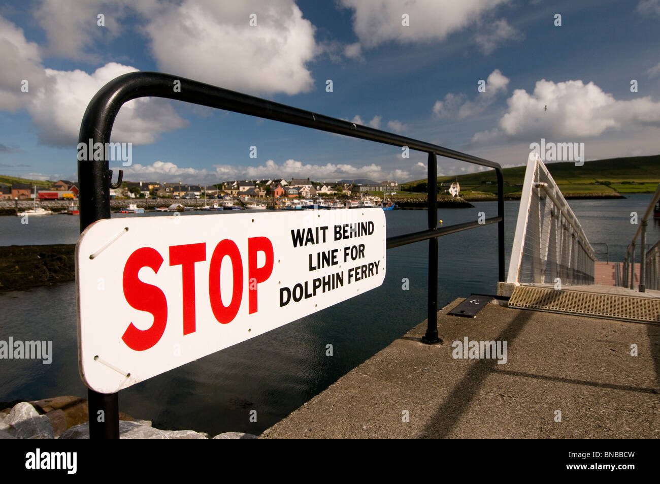 Sign for the dolphin ferry in Dingle harbour on Dingle Peninsula ...