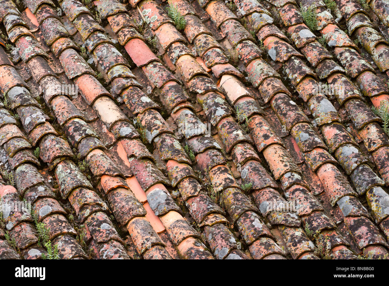 Pantiled roof hi-res stock photography and images - Alamy