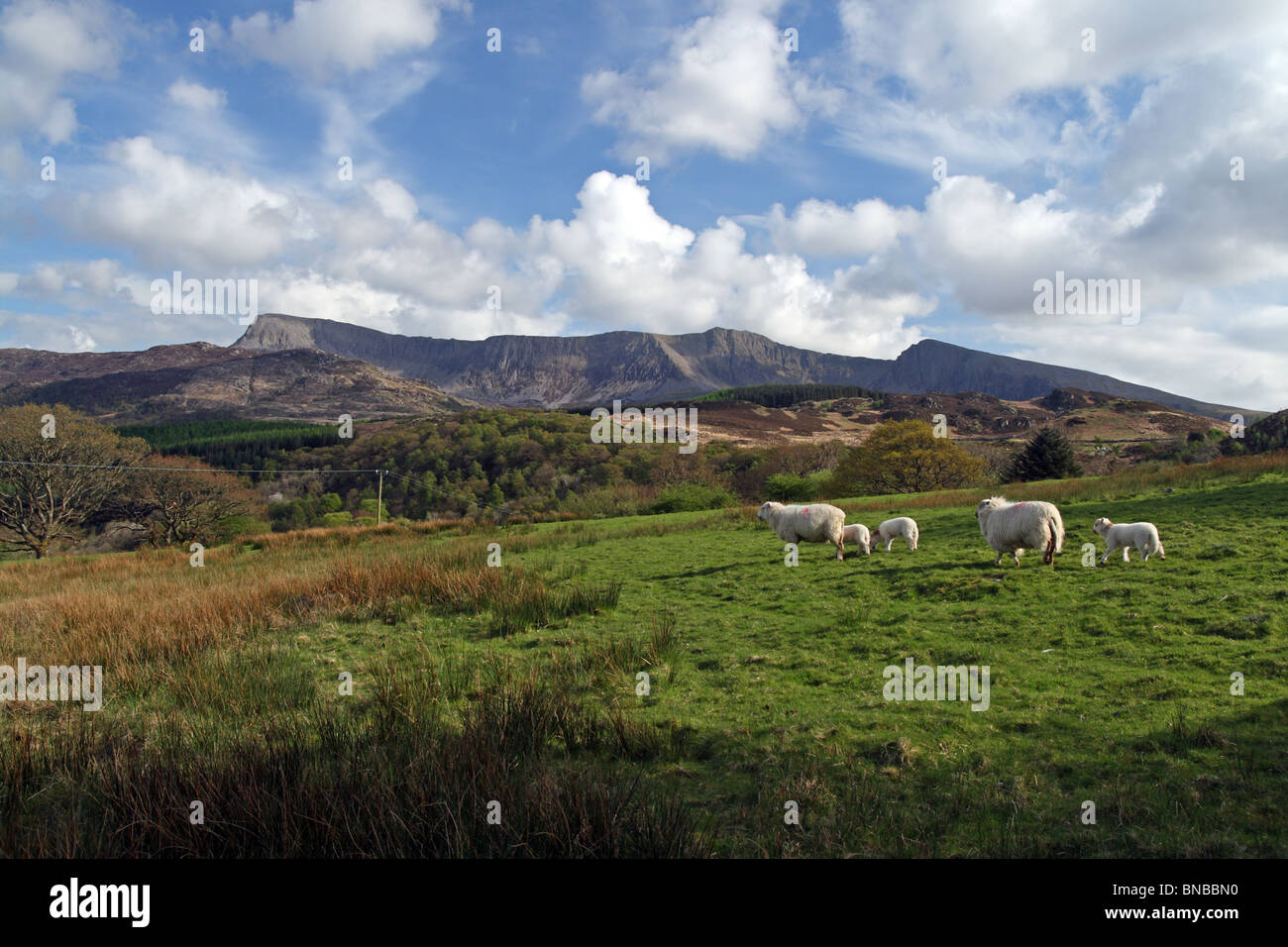 Cader Idris from the hills above Penmaenpool, Gwynedd, Wales, UK Stock ...