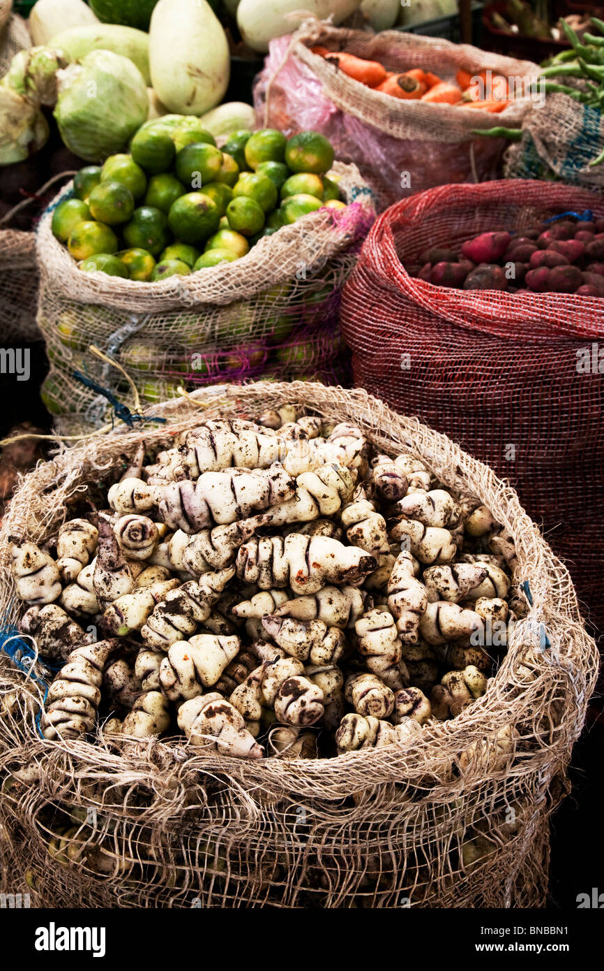 Ibia hi-res stock photography and images - Alamy