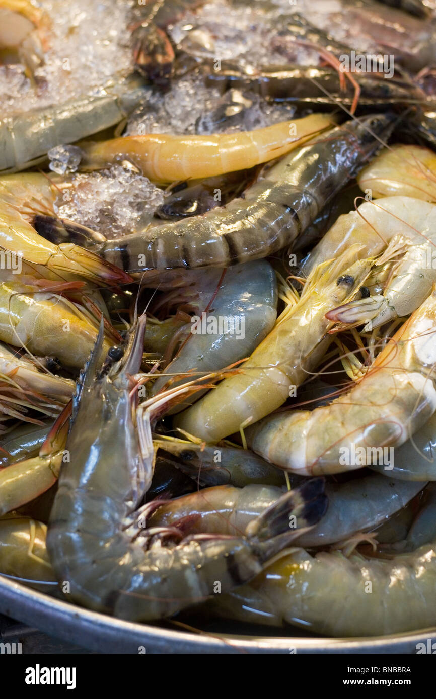Prawns in a fresh produce market, Bangkok, Thailand Stock Photo - Alamy