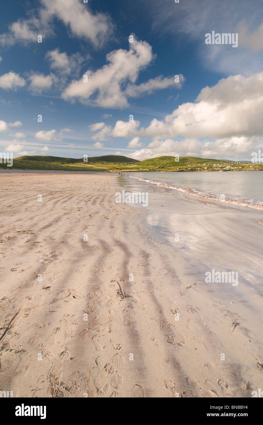 Ventry beach 4 miles west of Dingle, County Kerry, Ireland Stock Photo ...