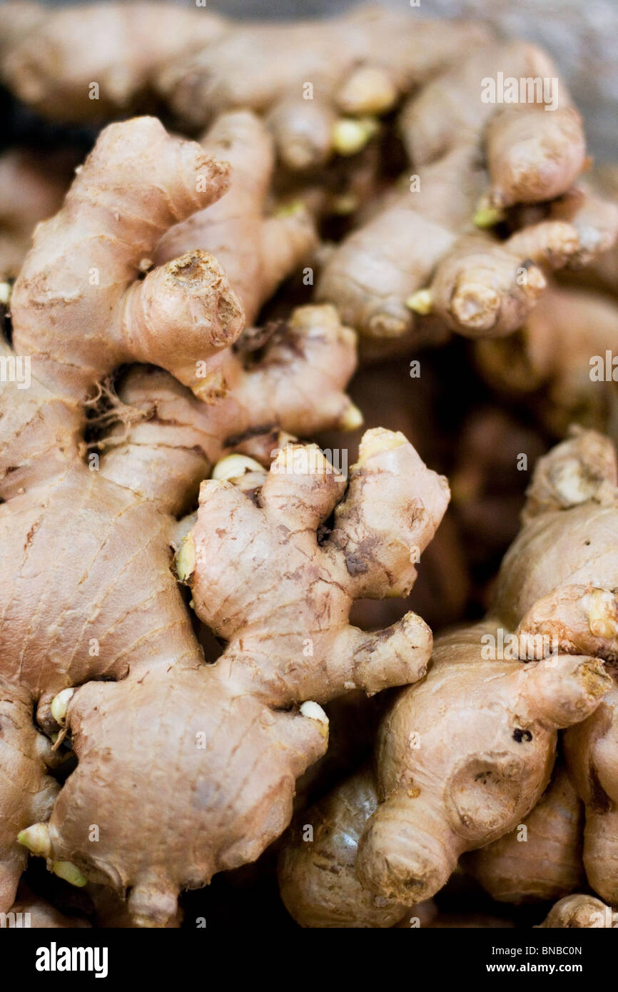 Fresh ginger root Stock Photo - Alamy