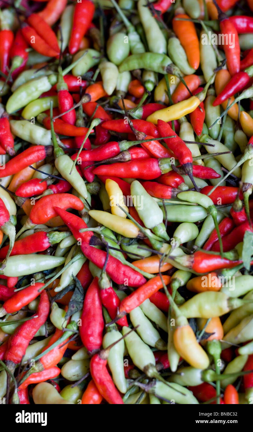 Colourful chillies hi-res stock photography and images - Alamy