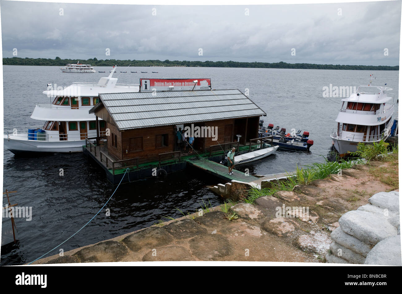 Barcelos Brazil, the "tropical fish capital of the world" lies on the ...