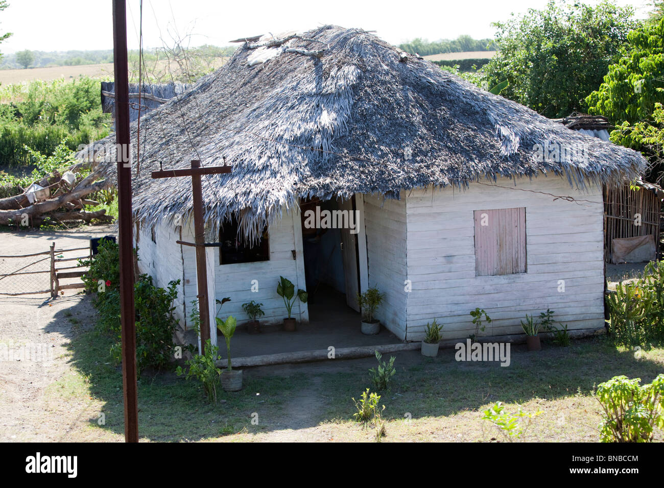 Thatched house cuba hi-res stock photography and images - Alamy