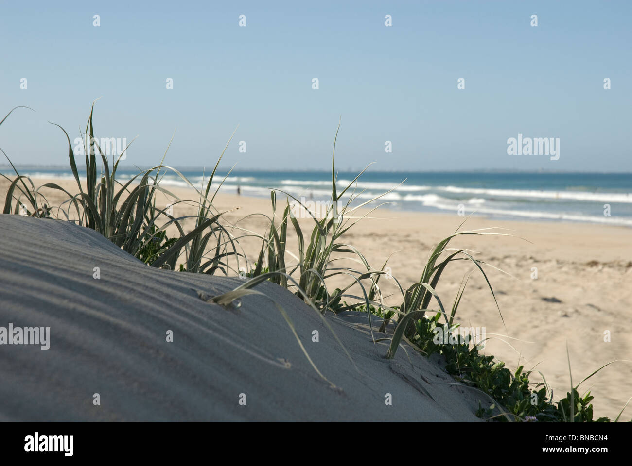 Sand dune view of ocean waves Stock Photo - Alamy