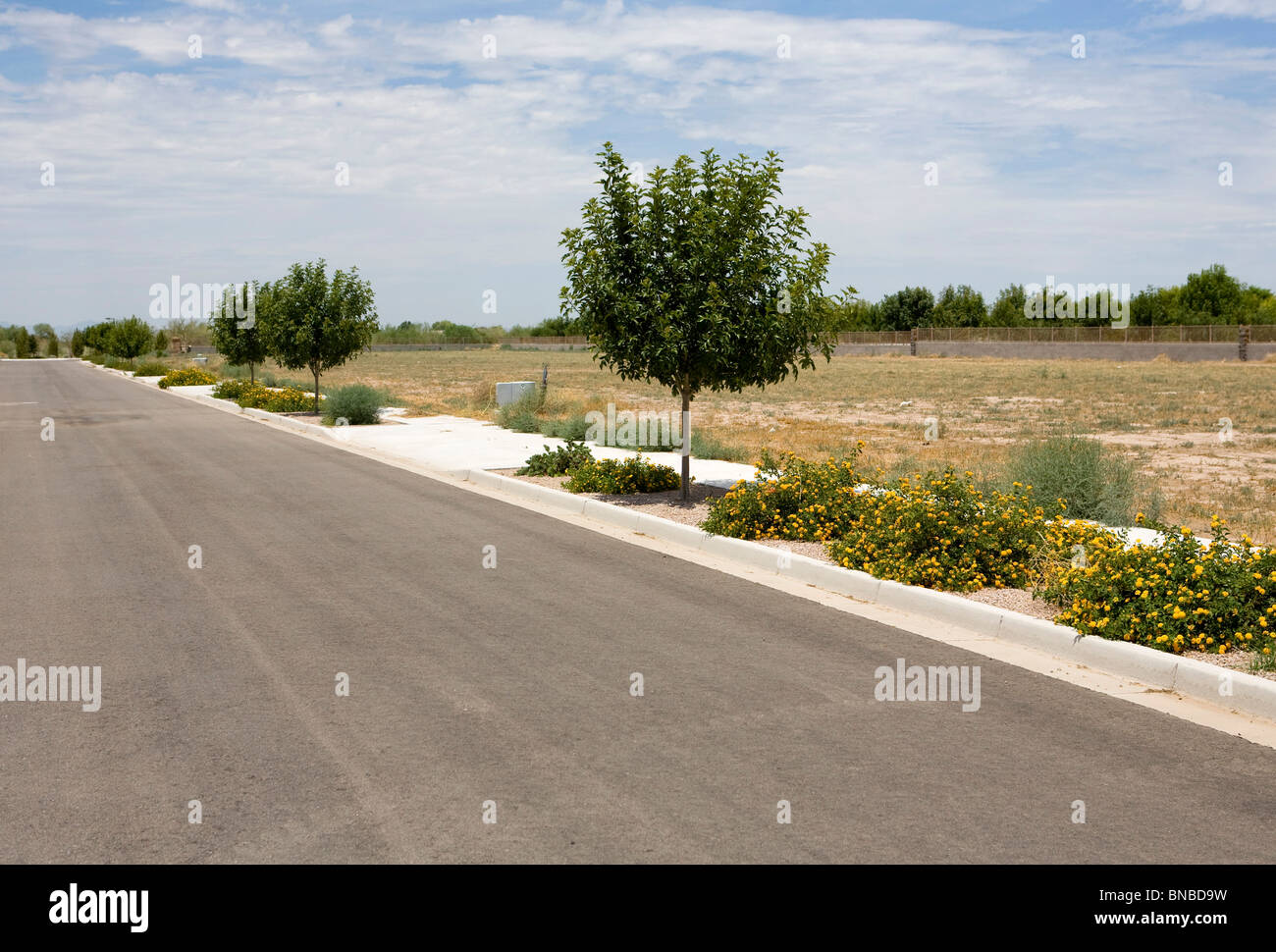 Unfinished and abandoned housing developments in the Phoenix, Arizona ...