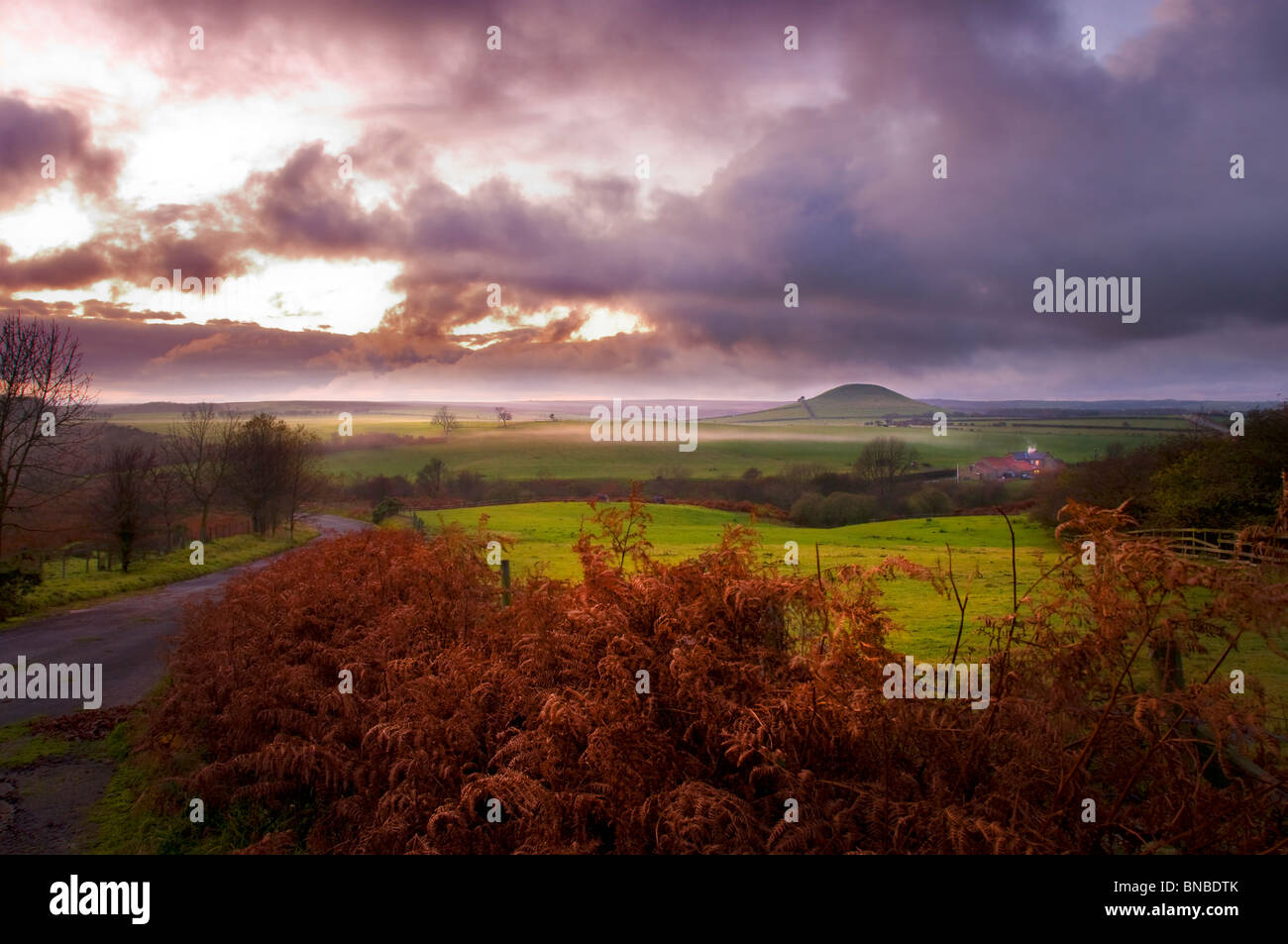 Misty moors hi-res stock photography and images - Alamy