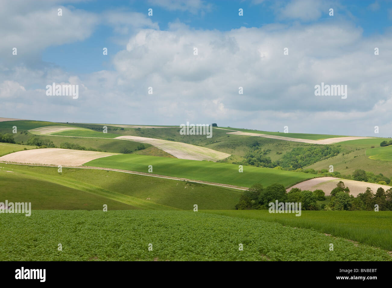 Cranborne chase dorset england hi-res stock photography and images - Alamy