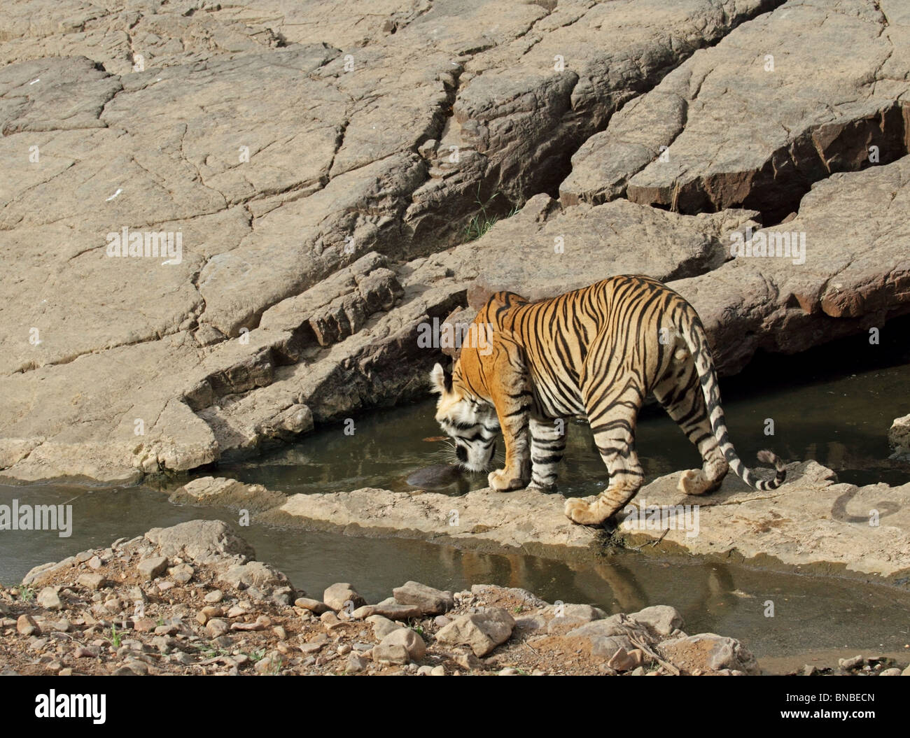 Check the hole hi-res stock photography and images - Alamy