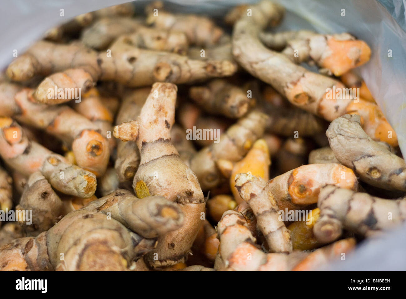 Fresh turmeric root, Thailand Stock Photo - Alamy