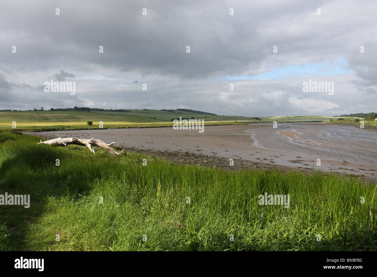 River eden scotland hi-res stock photography and images - Alamy