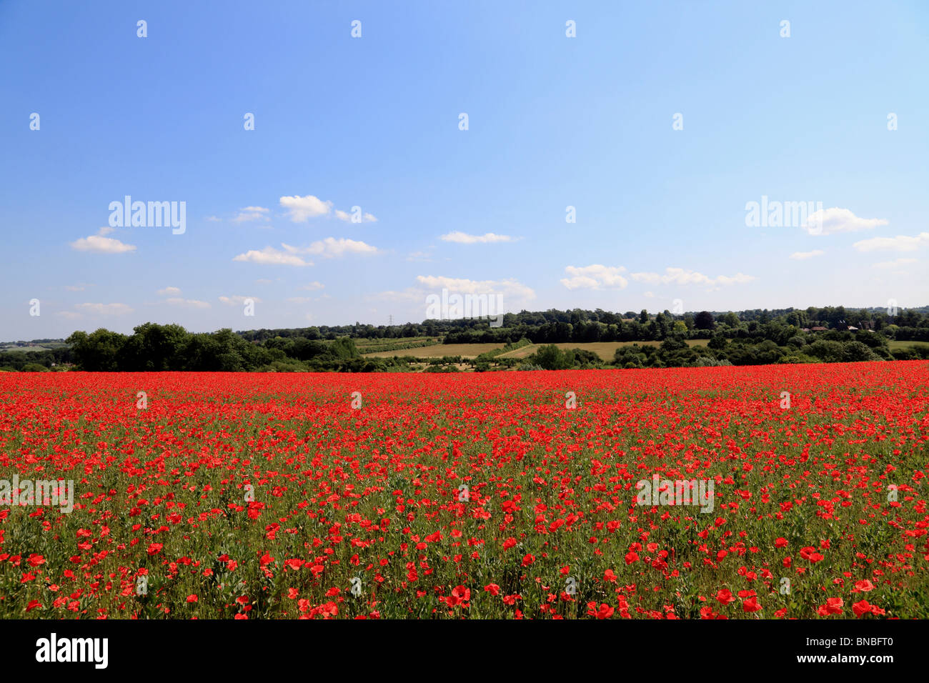 Barming hi-res stock photography and images - Alamy