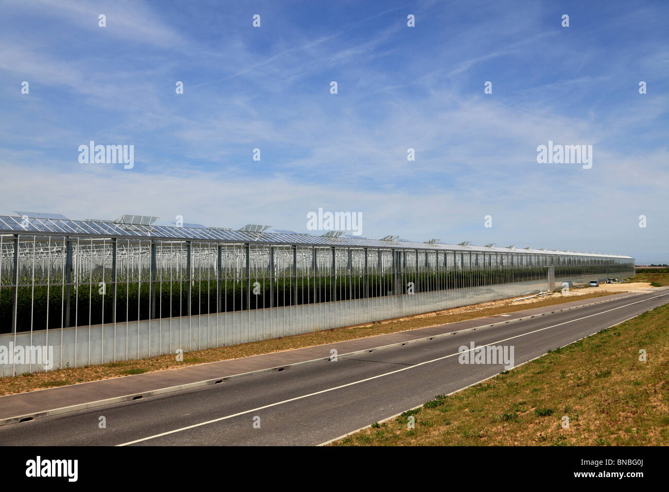 3279. Thanet Earth, Thanet, Kent, UK Stock Photo - Alamy
