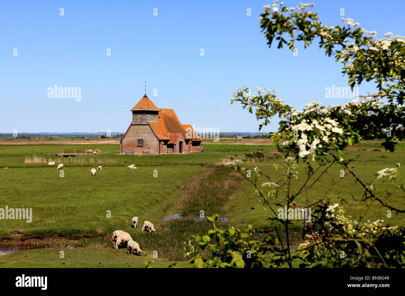 Romney marsh hi-res stock photography and images - Alamy