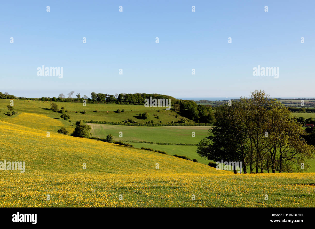 Farthing High Resolution Stock Photography and Images - Alamy