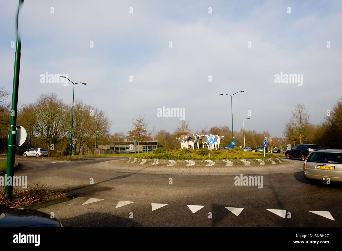 Dutch cows on roundabout Stock Photo - Alamy