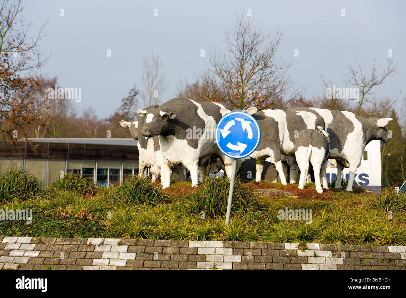 Dutch cows on roundabout Stock Photo - Alamy