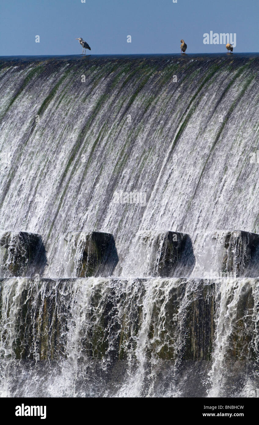 Over flow hi-res stock photography and images - Alamy