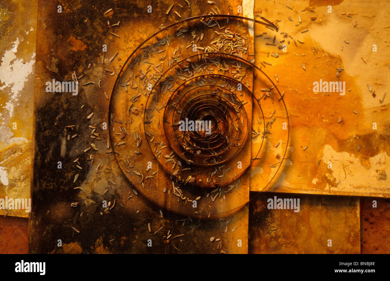 Rusty spiral coil on a weathered surface with scattered debris captured ...
