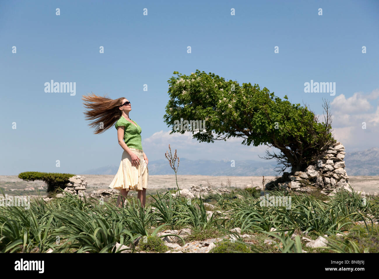 Woman with windblown hair and tree Stock Photo - Alamy
