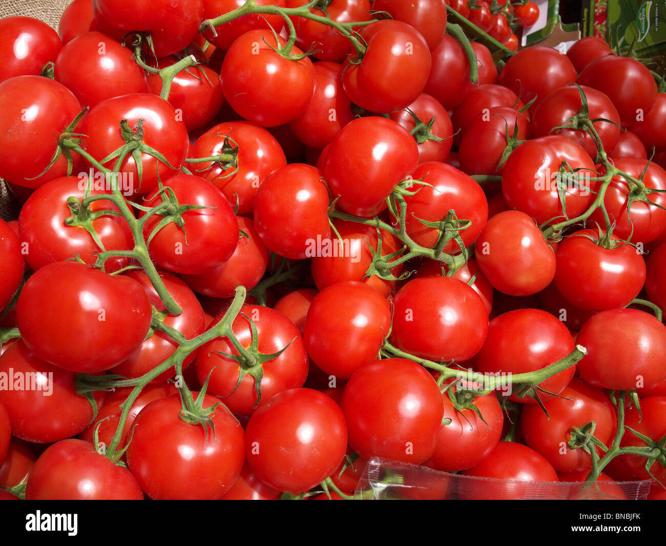 A pile of bright red tomatoes on display for sale at a market vegetable ...