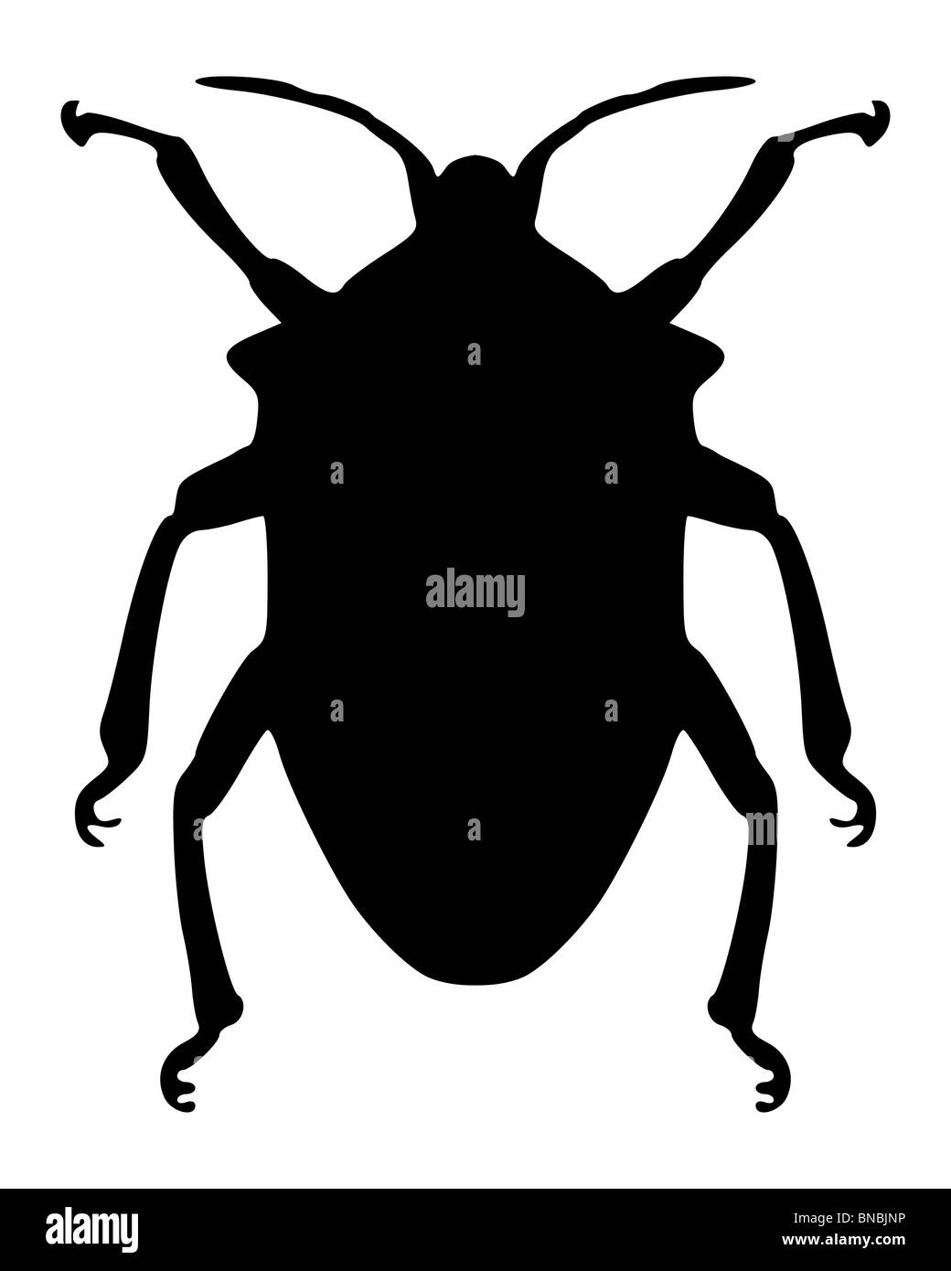 True bug silhouette Stock Photo - Alamy