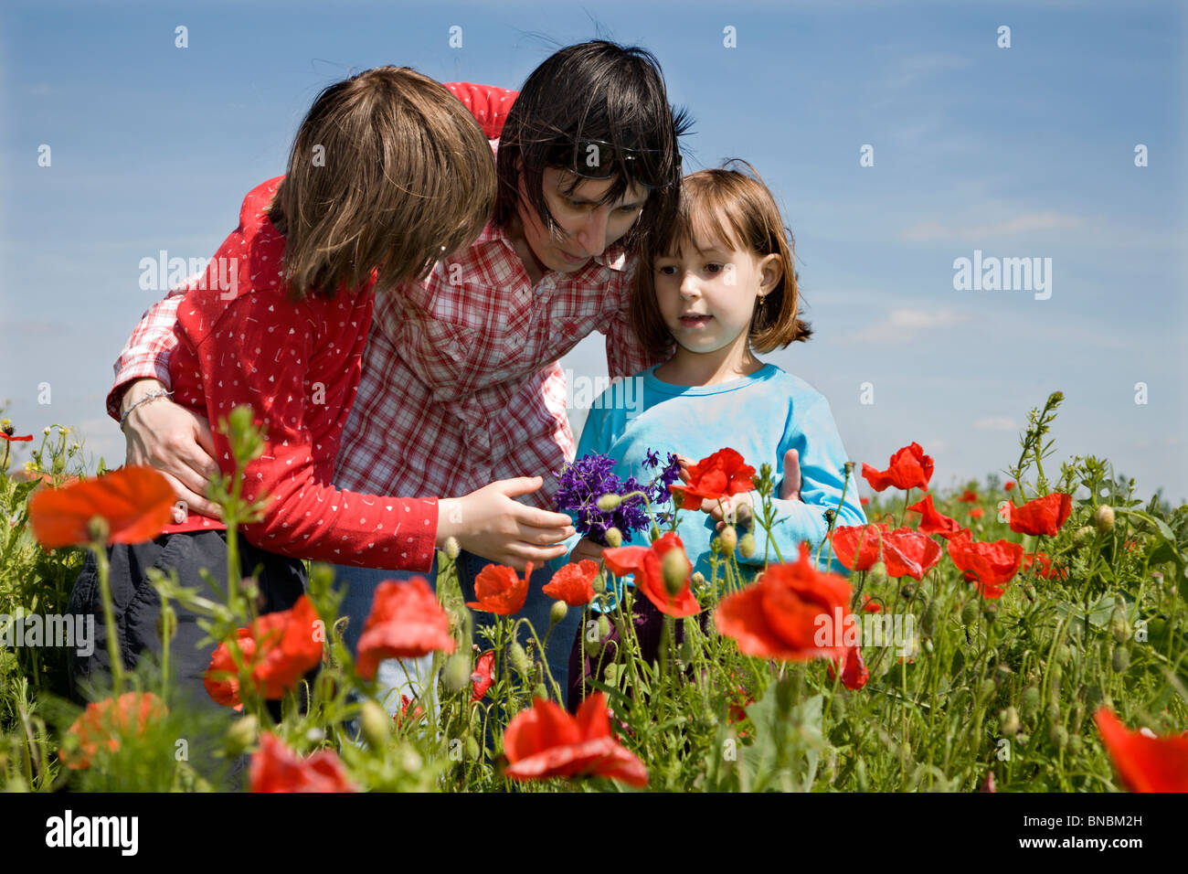 mother and children and the corm poppy Stock Photo - Alamy