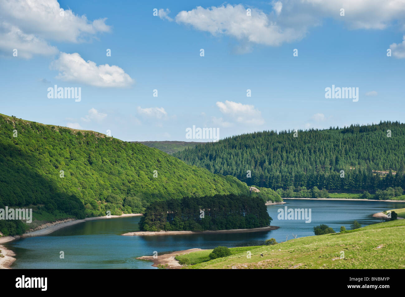 View towards Pen Y Garreg Reservoir, Elan Valley, Powys, Wales Stock ...