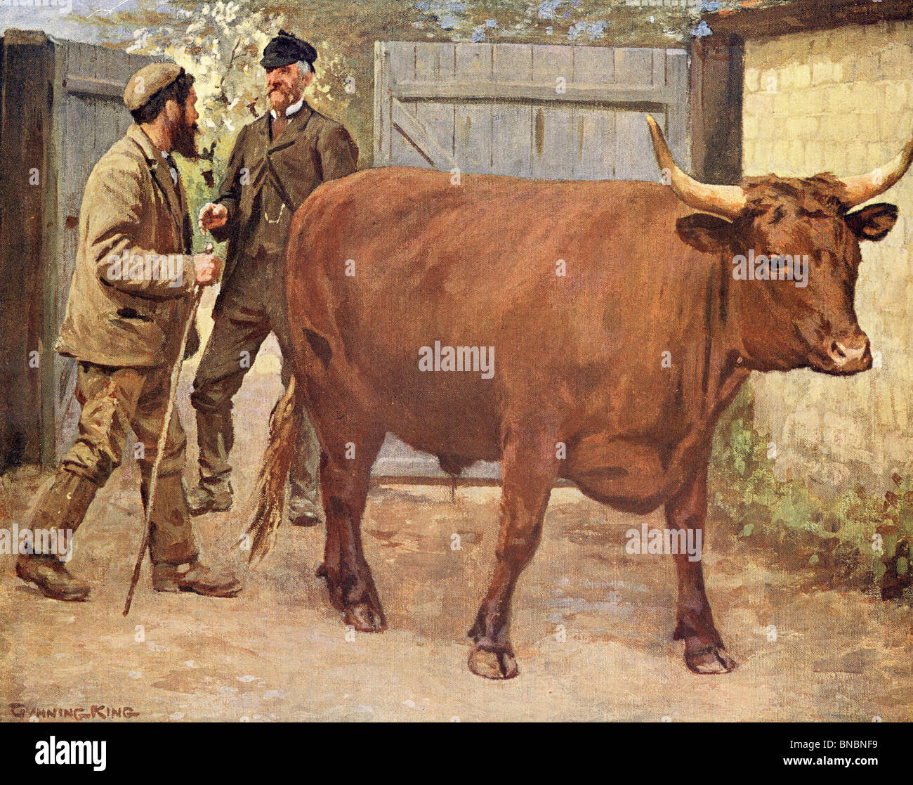Victorian farm cows hi-res stock photography and images - Alamy