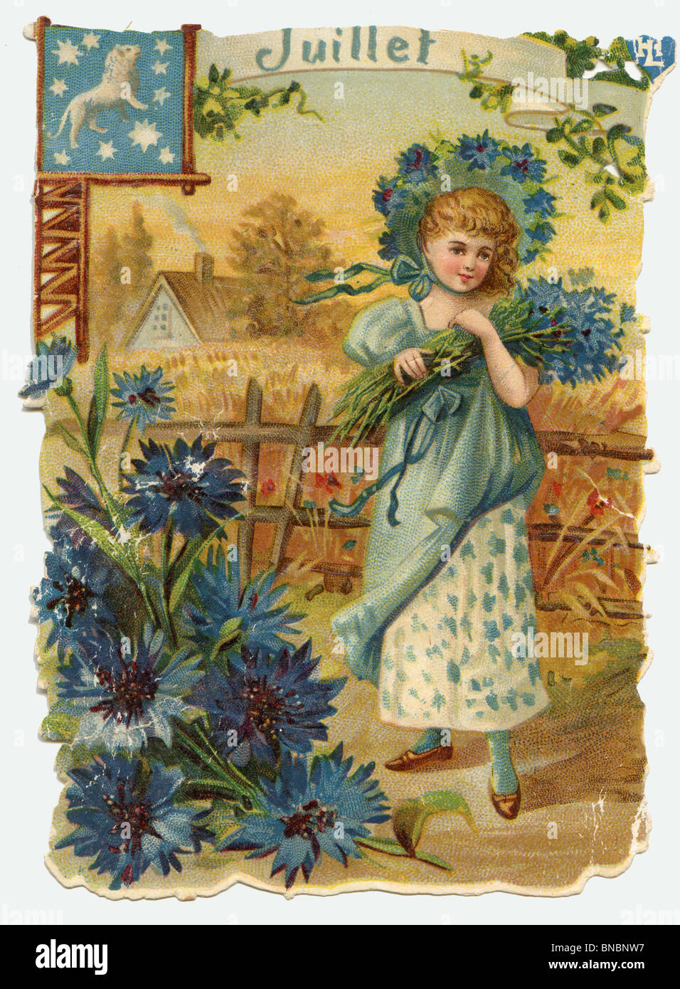 Calendar Card - July Stock Photo - Alamy